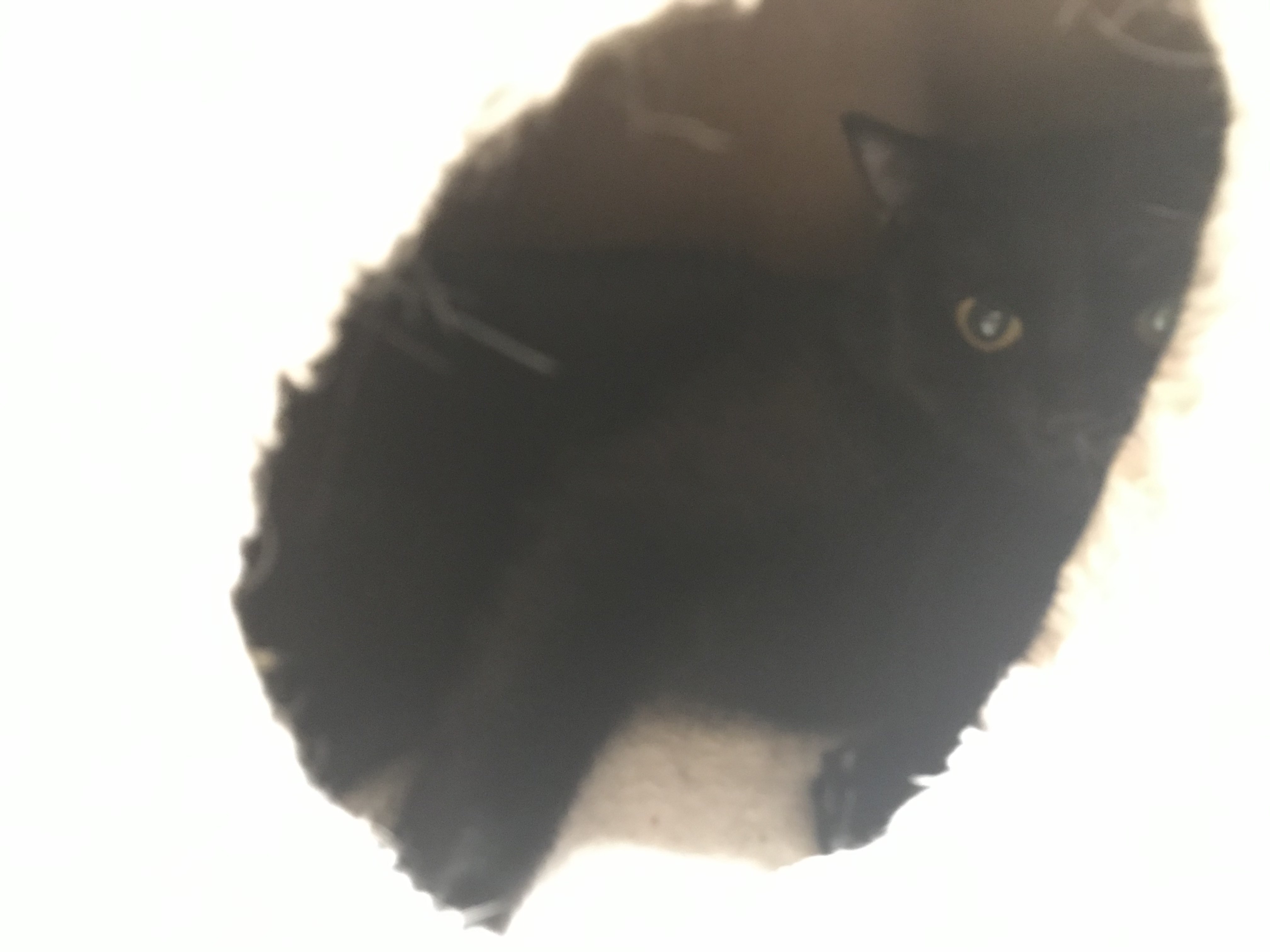 Aapo – www.ksey.net